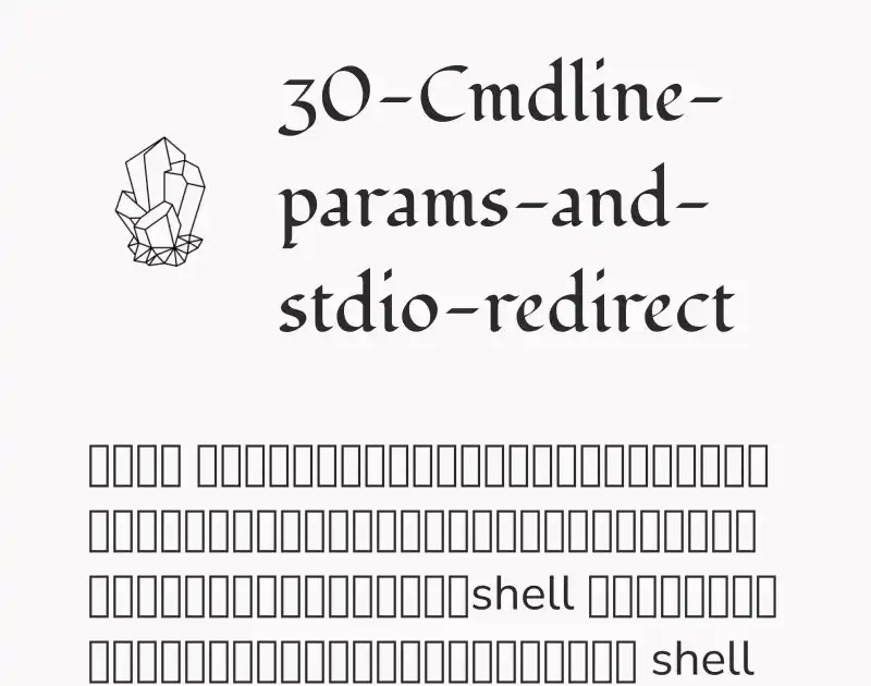 30 Cmdline Params And Stdio Redirect